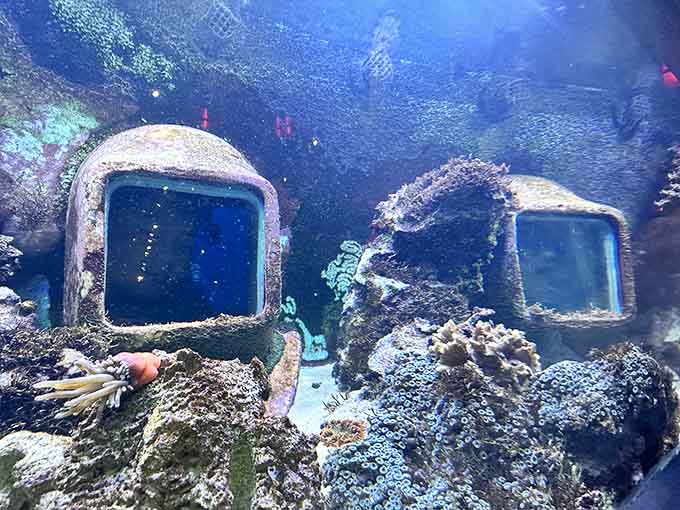 Underwater windows reveal coral-encrusted structures, giving landlubbers a taste of what divers see on actual shipwreck explorations without the decompression stops.