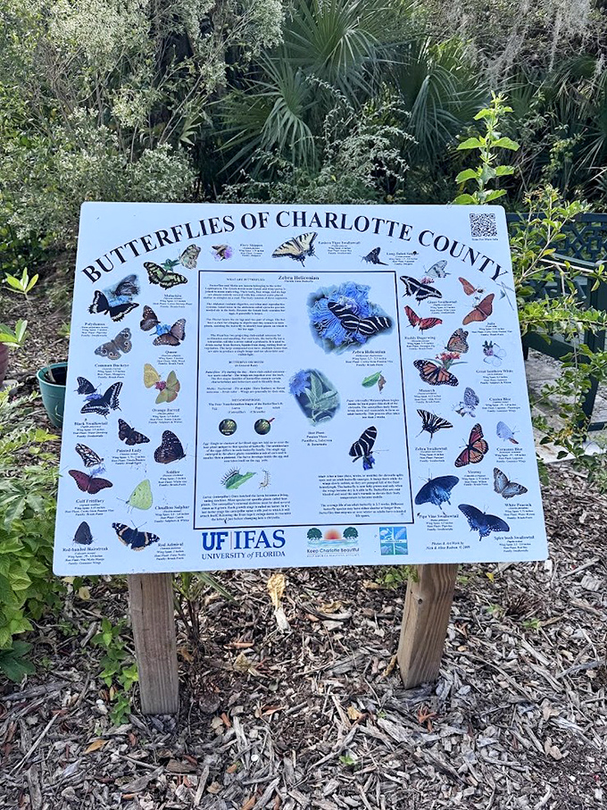 Charlotte County's butterfly identification chart: the original Tinder for matching with local winged beauties.