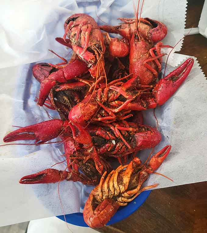 Fresh crawfish boiled with Cajun spices create the kind of hands-on eating experience that brings people together over shared messiness.