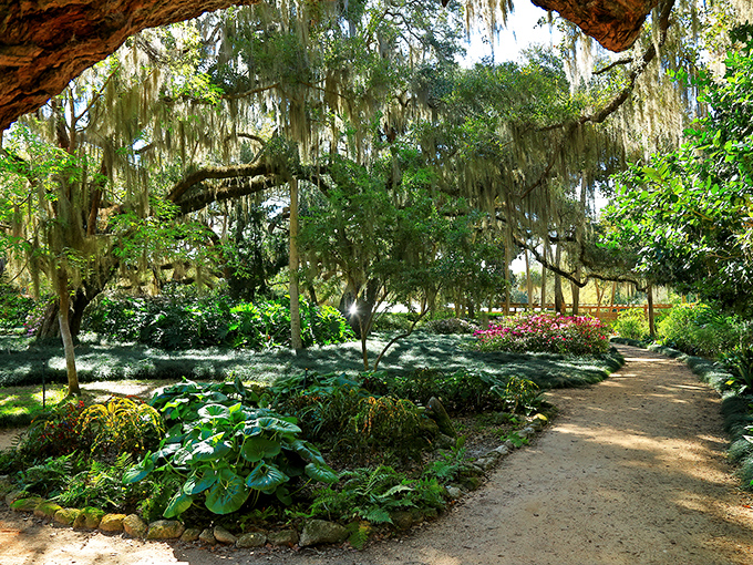 Sunlight filters through nature's curtains, creating a dappled pathway through gardens that would make royalty jealous.