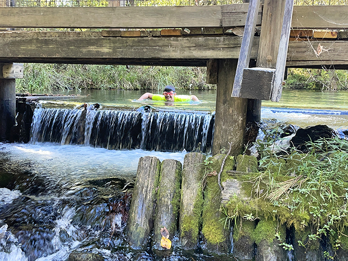 A gentle waterfall creates the soothing soundtrack to your day as spring water flows downstream to join the larger creek.