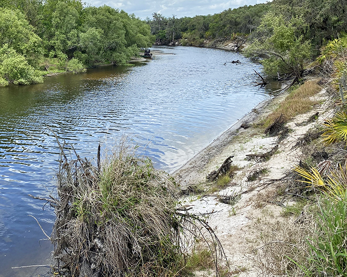Morgan Park's playground stands ready for the next generation of Arcadians, its primary colors popping against Florida's golden afternoon light.