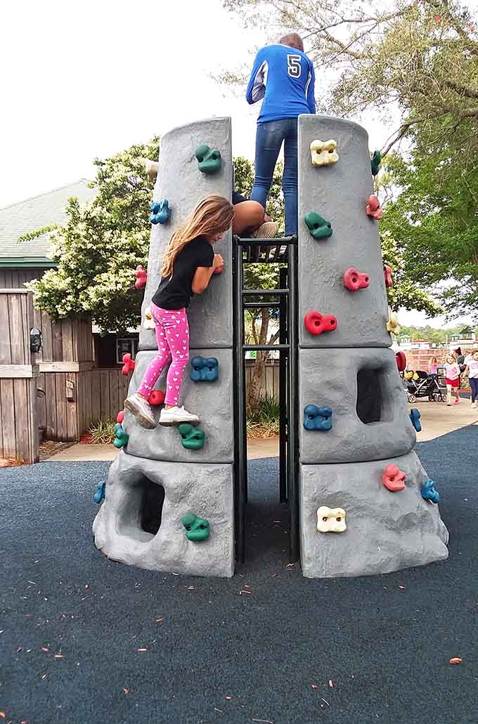 Scaling new heights one colorful handhold at a time, because every kid secretly believes they're training to climb Mount Everest.