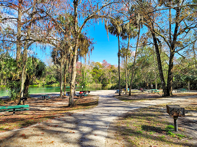 Picnic paradise: where lunch comes with a side of spectacular views and the occasional curious squirrel.