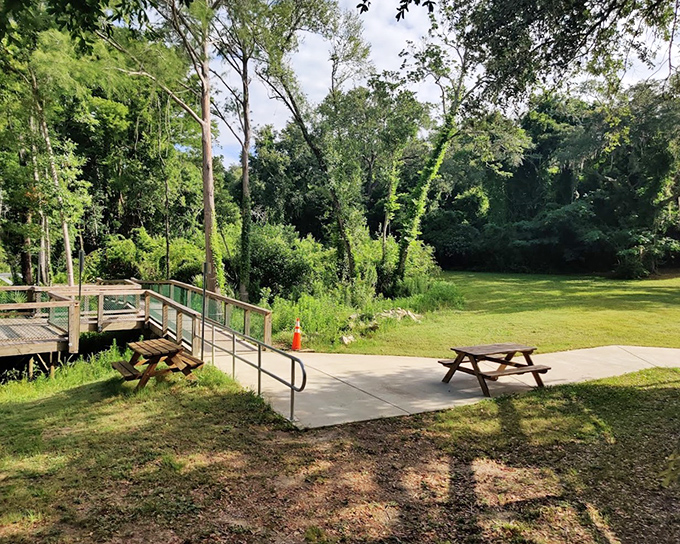 A perfect spot for contemplation: picnic tables nestled at the forest's edge invite visitors to pause and refuel their wandering souls.