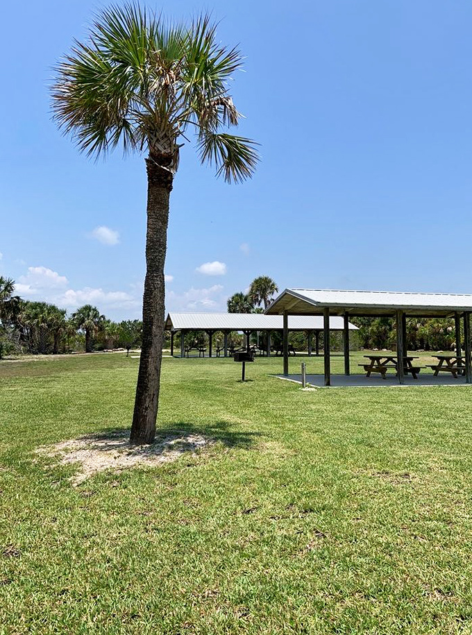 Florida's version of al fresco dining: palm trees provide the ambiance while picnic tables invite lazy afternoon gatherings.