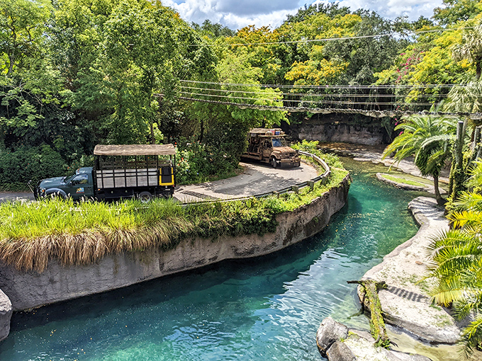 Adventure calls as safari vehicles navigate through realistic habitats where animals roam freely and unexpected wildlife sightings become the day's highlight.