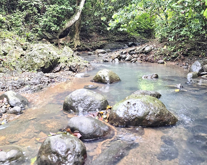 Smooth river stones create nature's stepping stones across gin-clear waters, each one polished by centuries of patient currents.