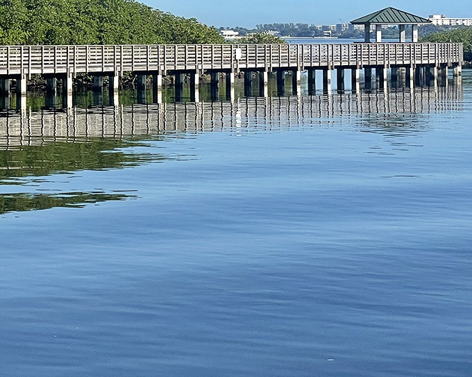 Snook Islands Natural Area: Nature's perfect mirror reflects Florida's wild beauty at Snook Islands, where manatees and kayakers share the peaceful waters just minutes from downtown.