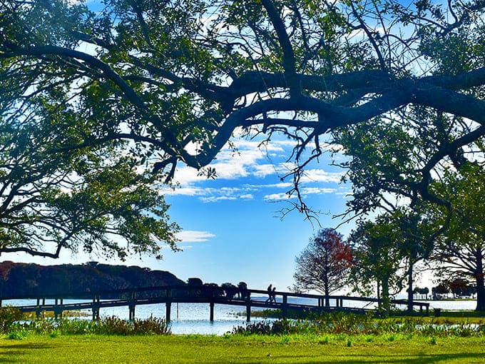 Spanish moss and palm trees team up to create Florida's signature look, like nature's own interior decorator showed up.