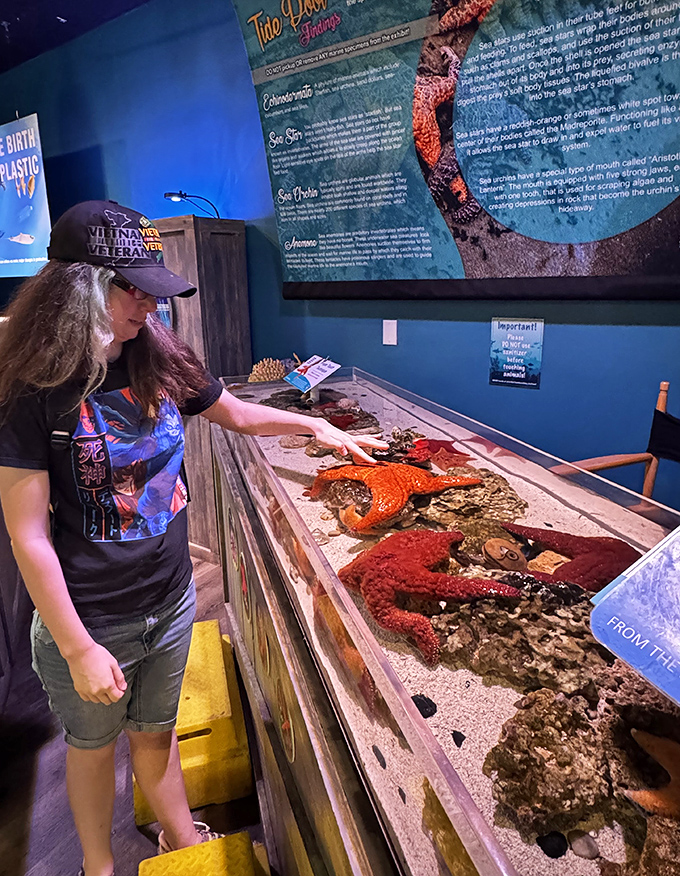 Interactive exhibits bring visitors face-to-face with marine life, proving starfish don't actually give autographs no matter how politely you ask.