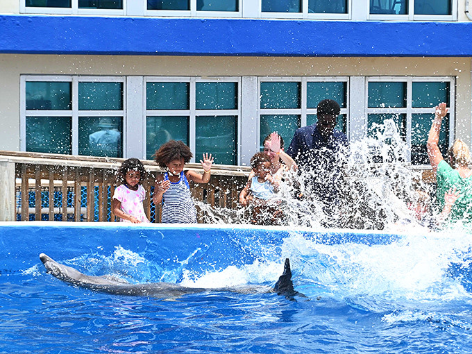 The splash zone &ndash; where staying dry is technically possible but completely misses the point of the whole experience.