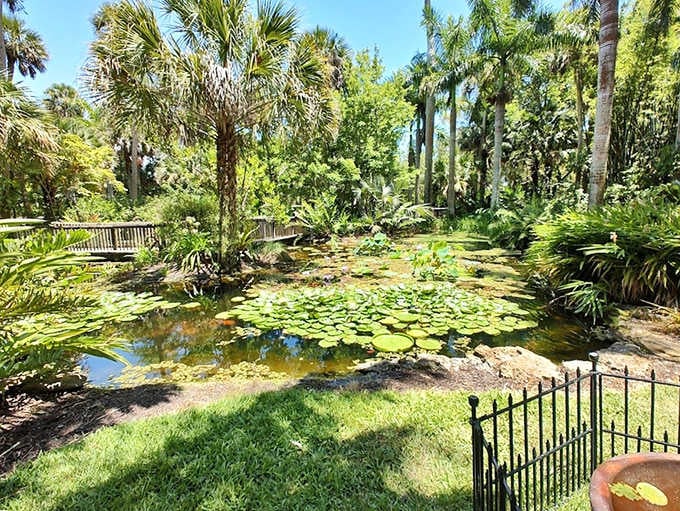 These serene pools host a spectacular display of aquatic plants that would make even Monet put down his croissant and reach for a paintbrush.