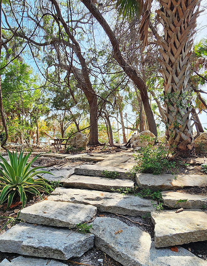 Nature's staircase leads adventurers deeper into the jungle, each stone step a portal to Florida's wild heart.