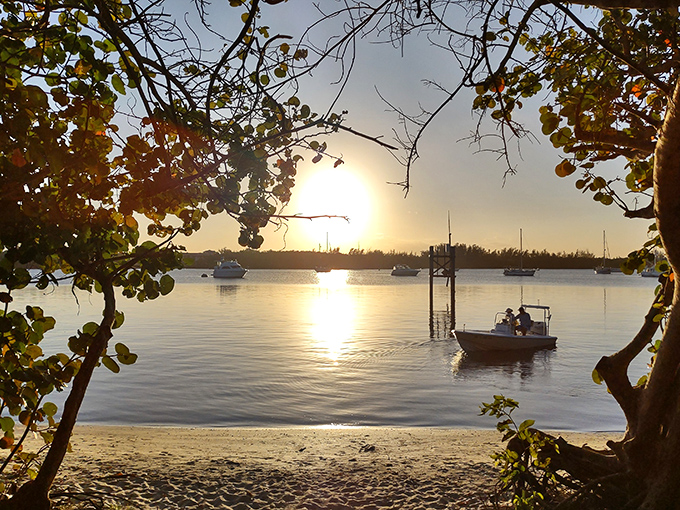 As evening settles, boats drift peacefully on golden waters, framed by the natural window of coastal vegetation.