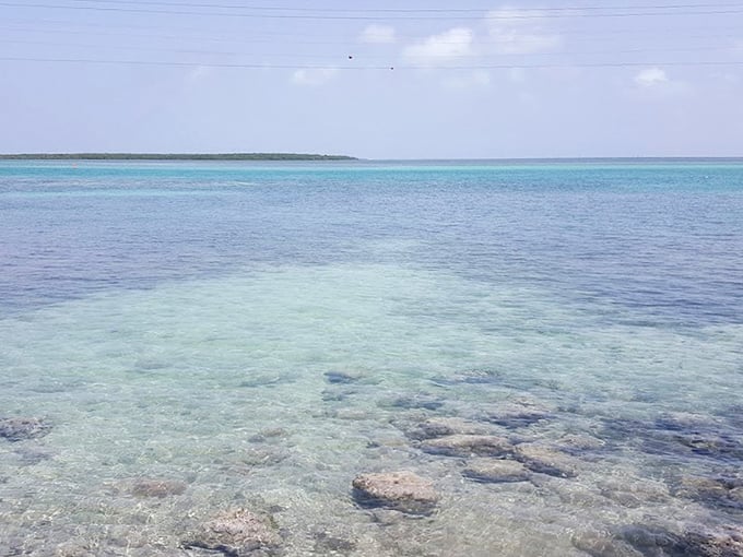 The water clarity here would make Caribbean resorts jealous &ndash; nature's window to an underwater world.