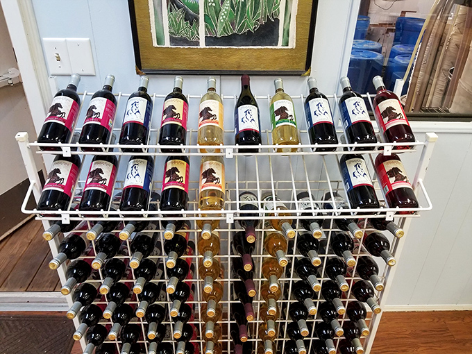 From vine to wine: The estate's agricultural roots are evident in every direction, reminding visitors that great wine begins in the soil.