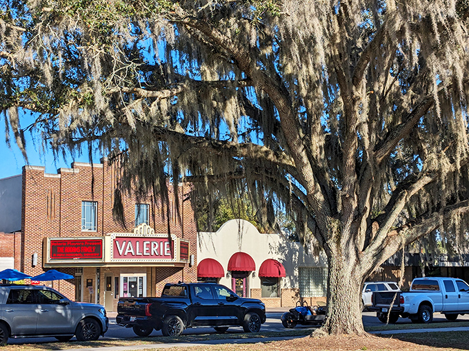 Spanish moss frames the Valerie's classic architecture, where Florida's natural beauty meets human artistry in perfect harmony.