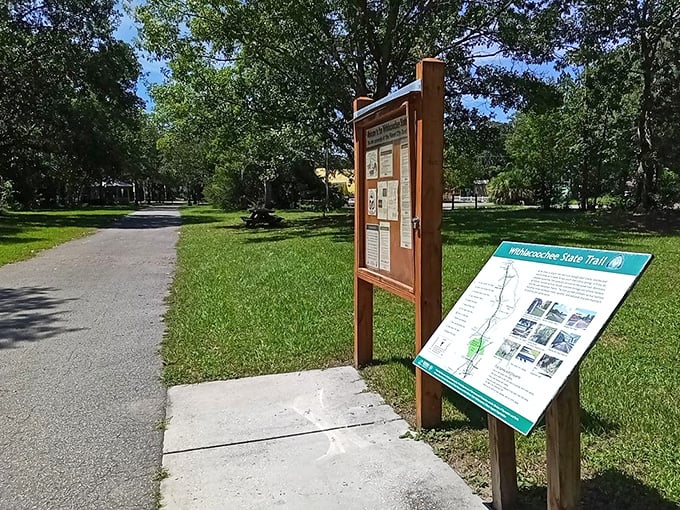 Information boards stand ready to transform casual visitors into amateur historians, offering tales of the land that don't require Wi-Fi to download.