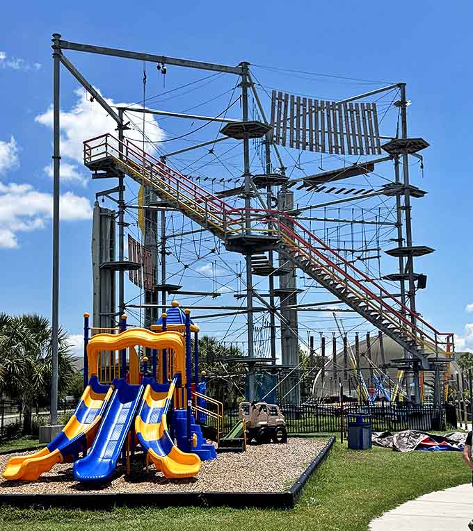 Multi-level ropes course where family dynamics are revealed: who's the risk-taker, who's the cautious one, and who's surprisingly fearless.