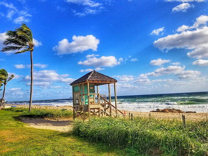 This lifeguard tower stands like a cheerful sentinel, its mint-green roof a beacon for beachgoers seeking that perfect spot of sand.