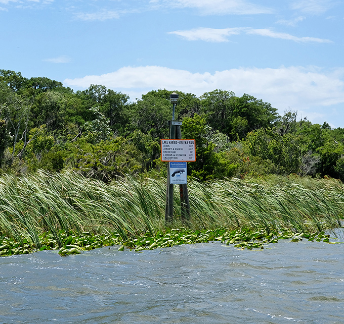The manatee zone sign &ndash; Florida's gentle way of saying "slow down, buddy, there are sea cows crossing here."