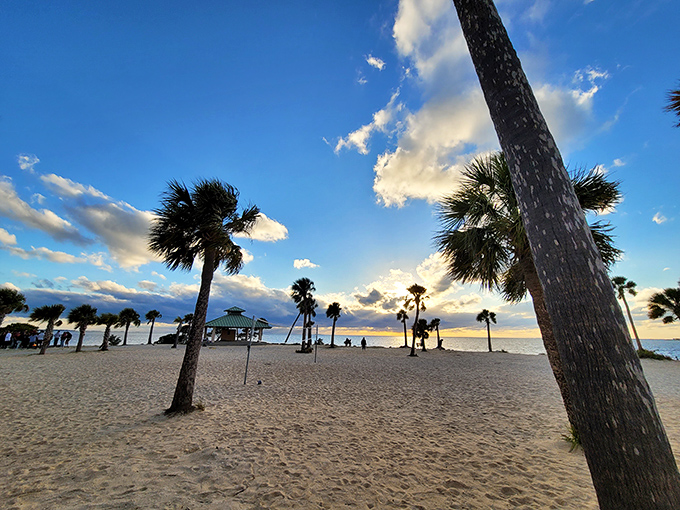 Palm trees stand sentinel against the setting sun, their silhouettes creating nature's perfect frame for Treasure Island's evening beauty.