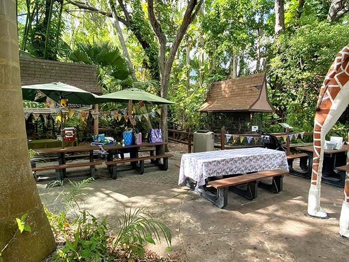 Birthday party central, where memories are made under palm trees and peacocks might investigate if your cake is worth sharing.