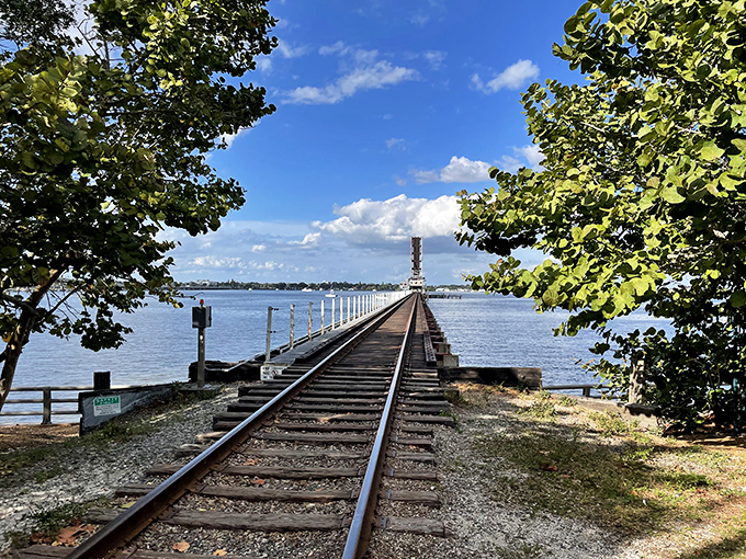 Railroad tracks stretching into the distance &ndash; either a poignant metaphor for life's journey or just a really good spot for Instagram photos.
