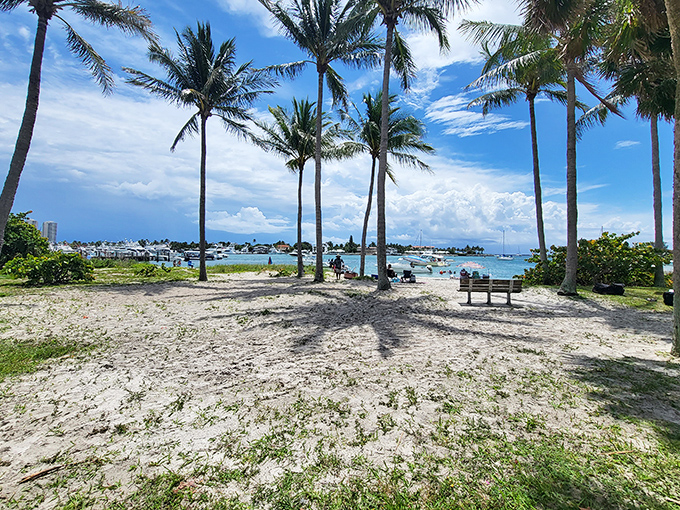 Palm trees cast dancing shadows across sandy shores where footprints disappear with each gentle wave &ndash; Florida's version of a clean slate.