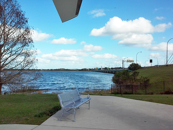 The lake view stretches into the distance, a reminder that sometimes the best Orlando attractions don't require admission tickets or long lines.