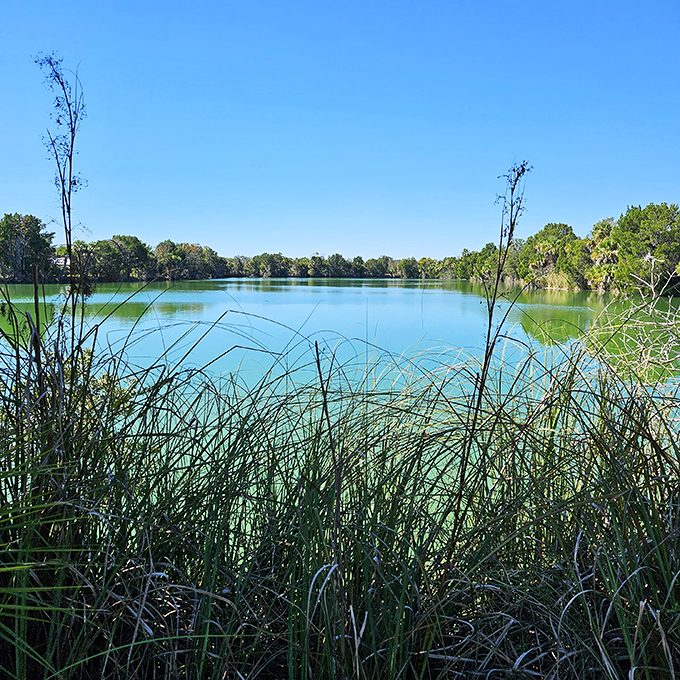 A serene lake view that whispers rather than shouts its beauty &ndash; Florida's natural side beyond the theme parks.