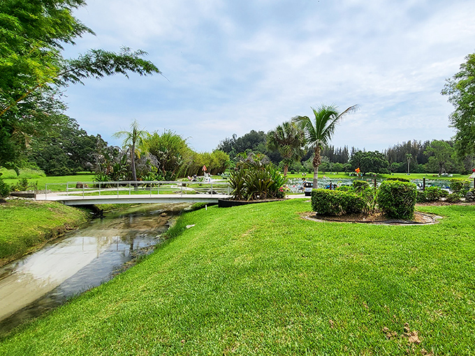 A humble footbridge connects worlds, inviting visitors to cross from everyday life into the realm of natural wellness.