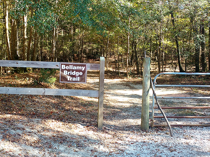 The welcoming entrance to Bellamy Bridge Trail promises adventure just beyond the rustic gate.