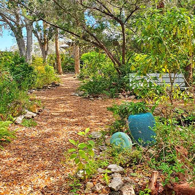 Winding trails through maritime hammocks offer peaceful escapes where the only soundtrack is birdsong and rustling leaves in the breeze.