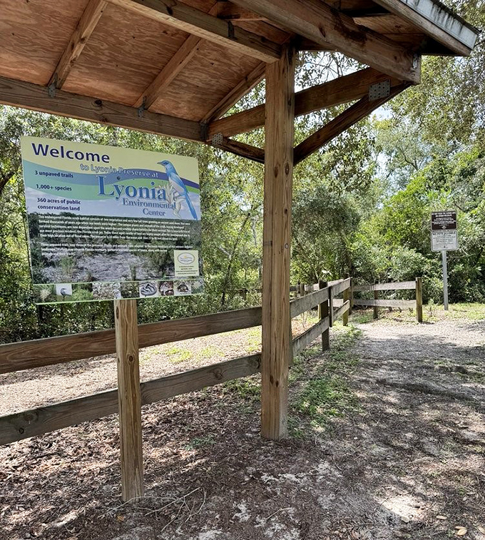 "Welcome to Lyonia" &ndash; this unassuming sign marks the entrance to one of Florida's most important ecological preserves.