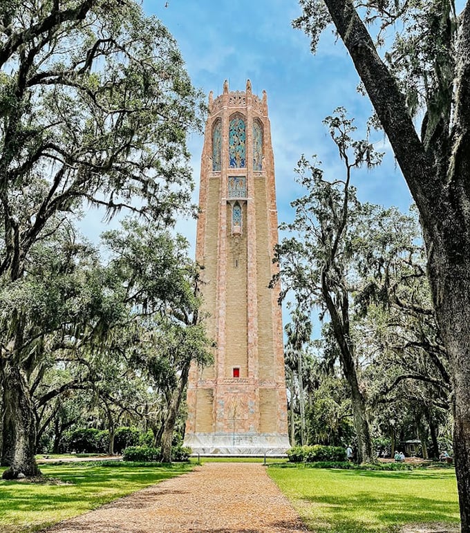 Bok Tower rises like a medieval fantasy through the trees, its pink marble and coquina stone catching Florida's golden sunlight in a way that seems almost magical.