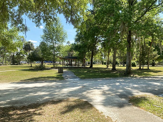 Find a perfect spot for lunch at this sunny pavilion nestled among the moss-draped oaks of Crystal River.