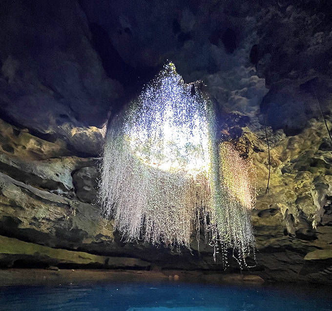 Devil's Den's illuminated waters create an otherworldly glow in this prehistoric spring, where time seems to stand still.