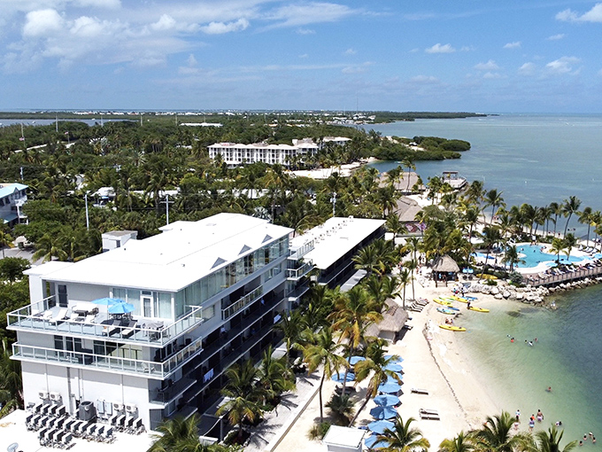 Islamorada's stunning coastline features crystal clear waters that showcase the vibrant underwater ecosystem of the Florida Keys.
