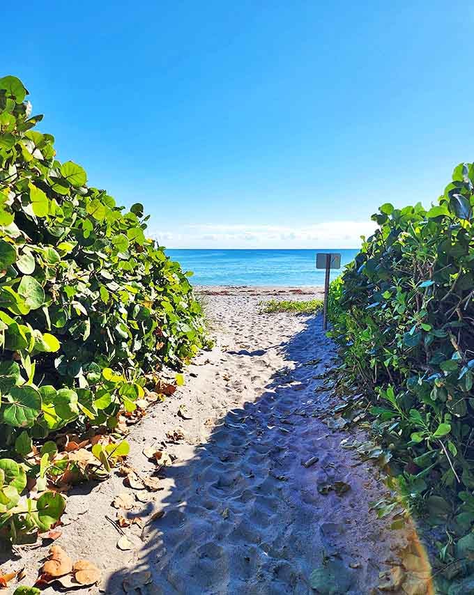 Follow the sandy path lined with lush sea grapes toward the inviting blue horizon for a perfect day of sunshine.