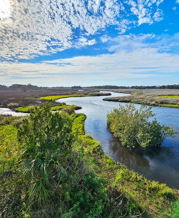 The protected waters of Crystal River National Wildlife Refuge create the perfect environment for manatees and countless other species.