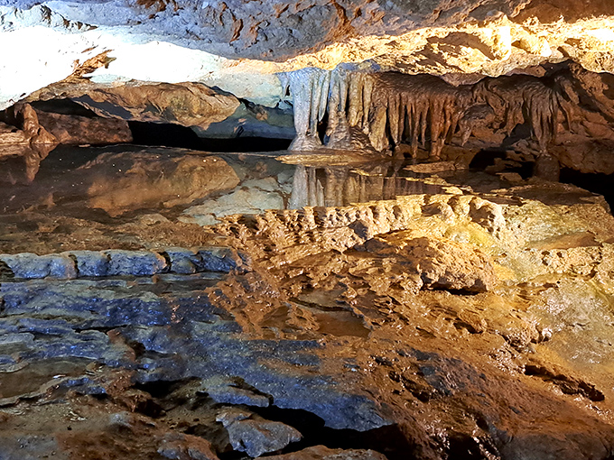 The underground wonderland of Florida Caverns reveals a hidden pool that perfectly reflects the stalactites above, creating a symmetrical masterpiece.
