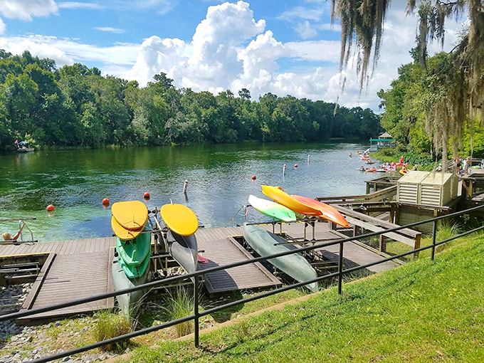 Yellow tubes dot the Rainbow River at K.P. Hole, where visitors float above underwater gardens of waving grasses.