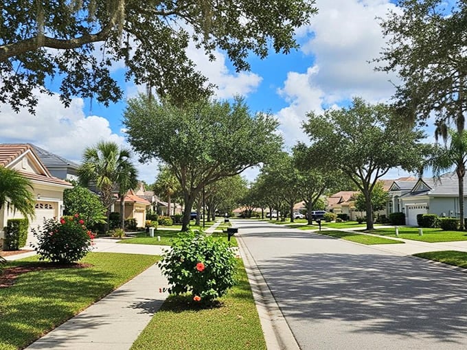Flowering bushes lining immaculate streets show how Florida neighborhoods maintain that picture-perfect appearance throughout the year without much effort.