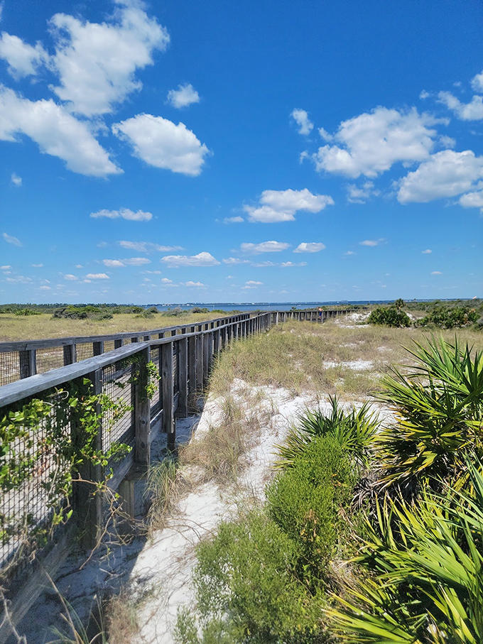 Wooden boardwalks wind through coastal dunes, protecting fragile ecosystems while guiding visitors toward breathtaking Gulf panoramas.