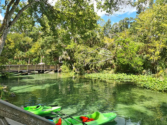 A covered boat platform floats on Wekiwa Springs' impossibly clear waters, offering visitors a unique perspective.