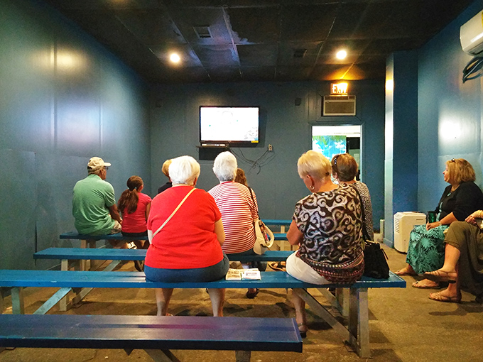 The theater room might not scream luxury, but the fascinating documentary on sponge harvesting makes these simple benches the best seats in town.