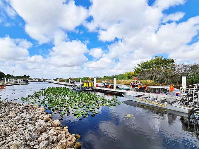 A fleet of colorful airboats waits at the dock like eager horses ready to gallop across the watery landscape of the Everglades.