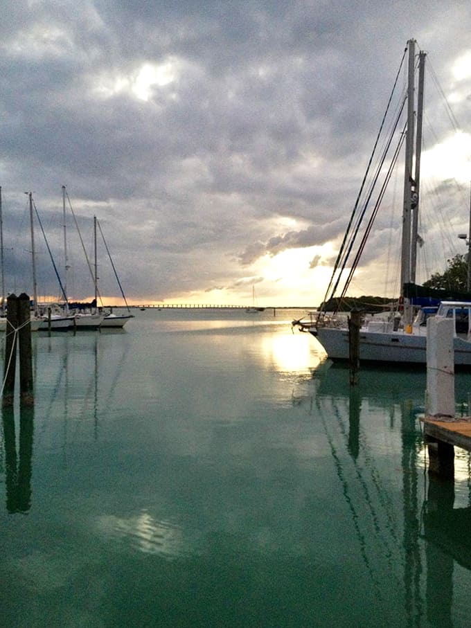 The harbor at sunset looks like someone spilled liquid gold across the water, proving that the Keys know how to end a day properly.